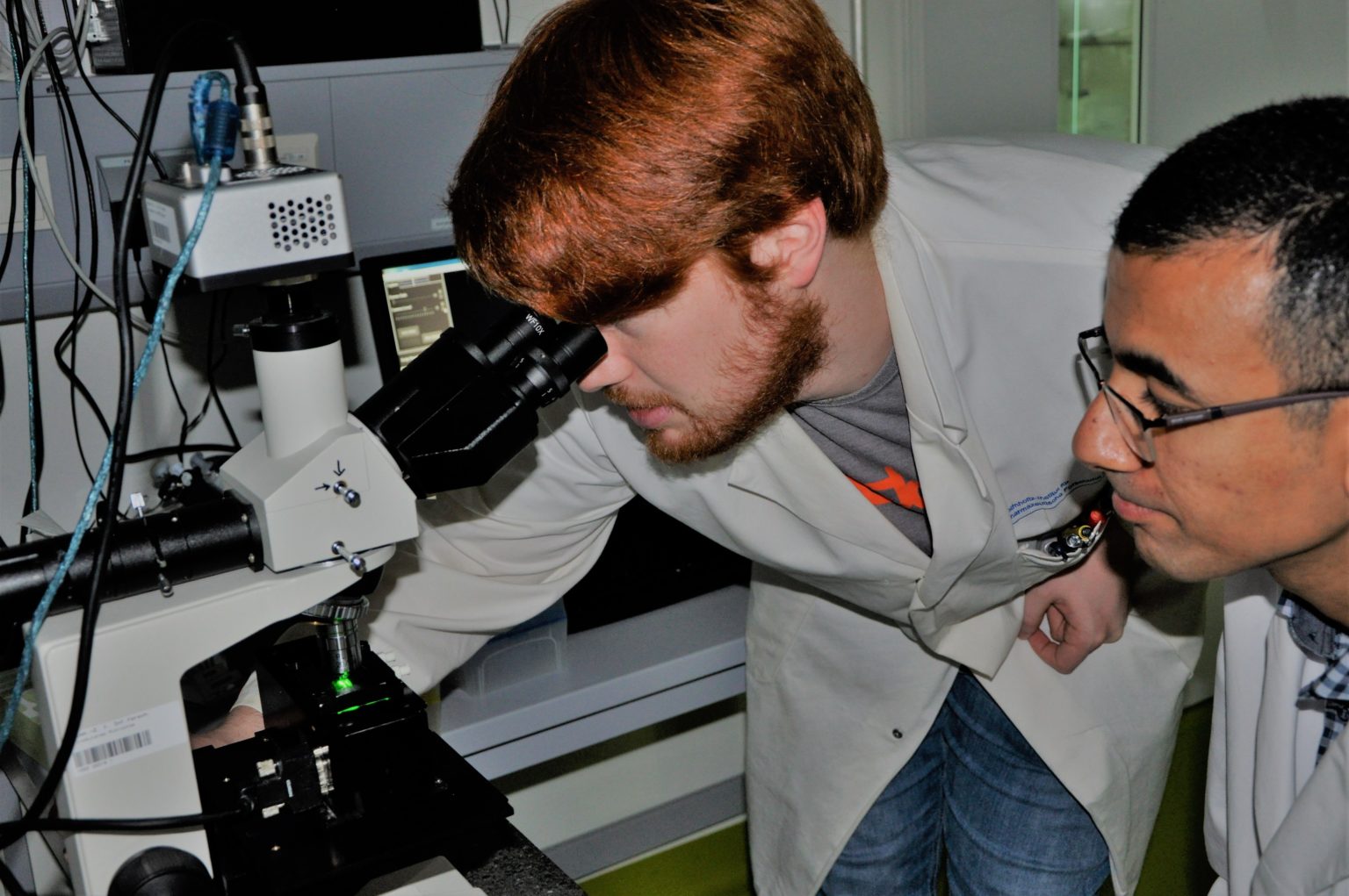 Division of Pharmaceutical Biology