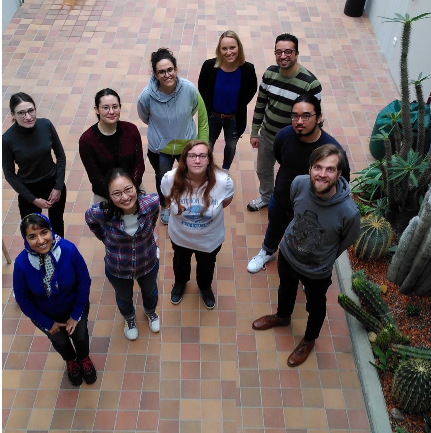 Division of Pharmaceutical Biology